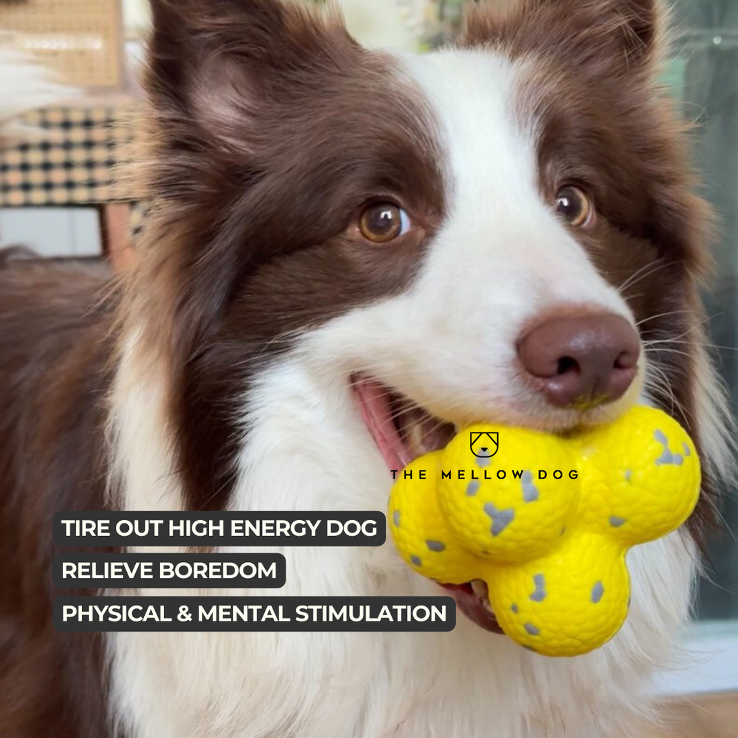 Calming Ball (2 Balls) – The Mellow Dog