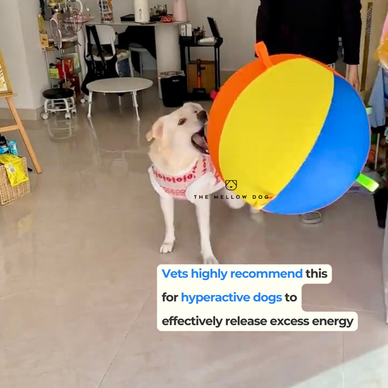 Calming Jumbo Ball – The Mellow Dog
