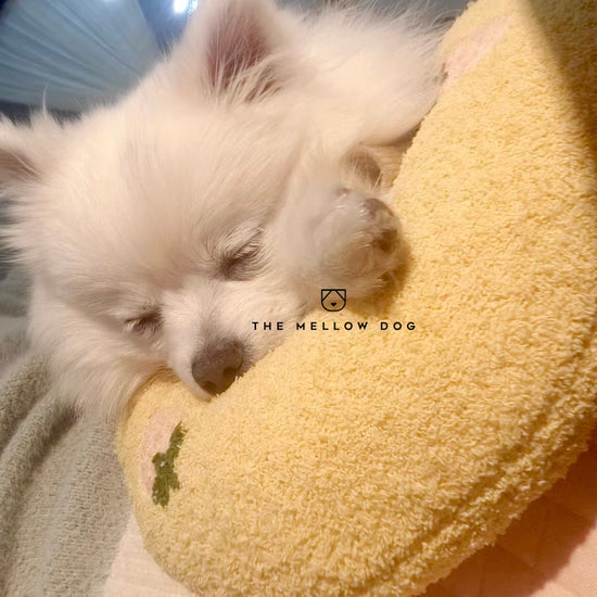 Calming Pillow – The Mellow Dog