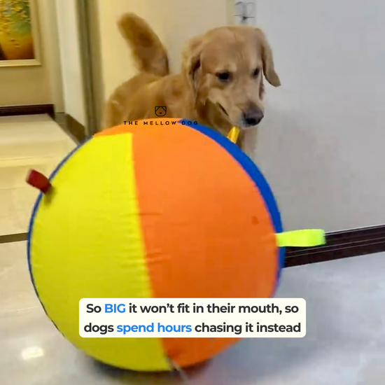 Calming Jumbo Ball – The Mellow Dog