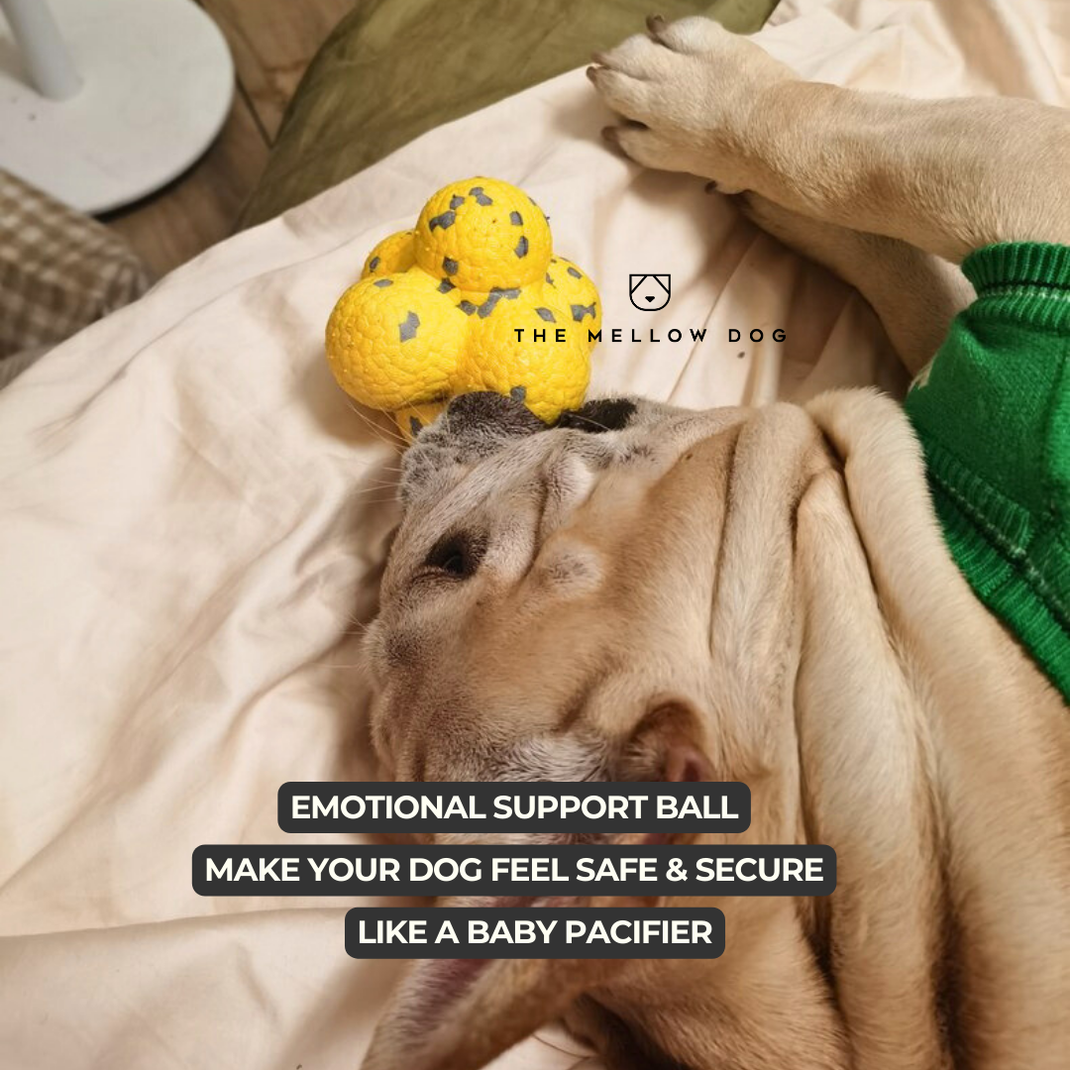 Calming Ball (2 Balls) – The Mellow Dog