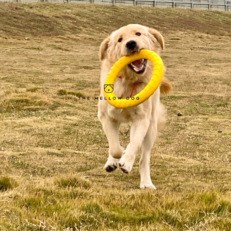 Calming Products – The Mellow Dog