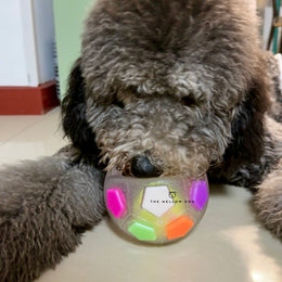 Calming Ball – The Mellow Dog