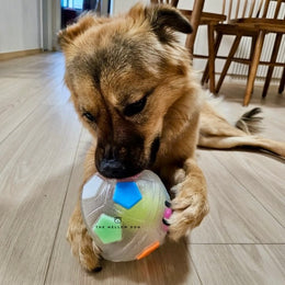 Calming Ball – The Mellow Dog