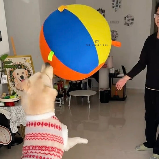Calming Jumbo Ball – The Mellow Dog