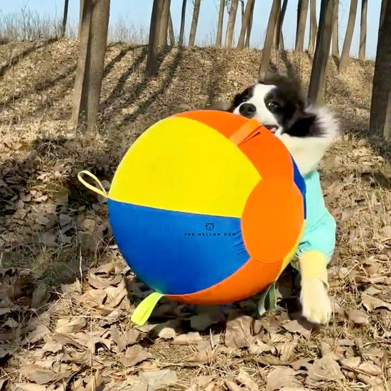 Calming Jumbo Ball – The Mellow Dog