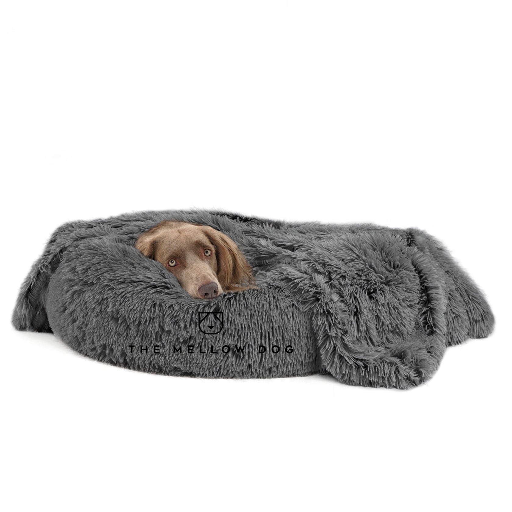 Calming Throw | Dog Blanket | Anti Anxiety Blanket for Dogs – The ...